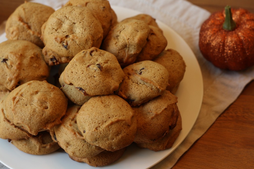 Pumpkin Cranberry Nut Cookies | Slyh in the Kitchen