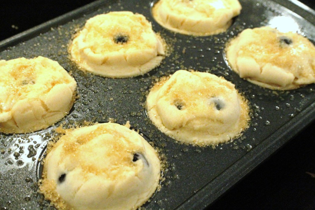 Blueberry Muffins | Slyh in the Kitchen